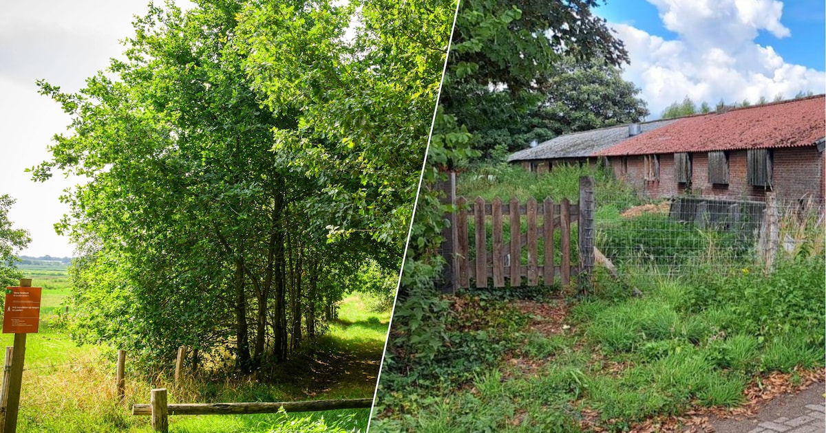 Raad van State tikt Zundert op de vingers: zandpad bij Boven Heining ...
