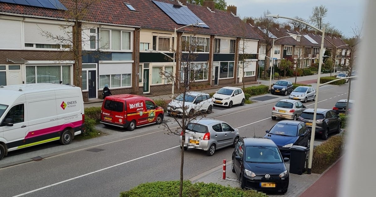 Twintig ongevallen in vijf jaar tijd, Bergen op Zoom ziet nog maar een oplossing: ‘De heggen ...