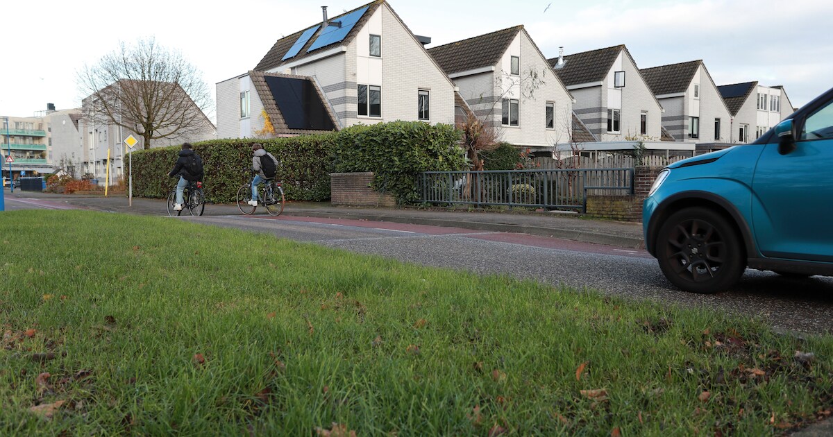 Groen Gorinchem: denk mee over de toekomst van je stad | Altena | BN DeStem.nl