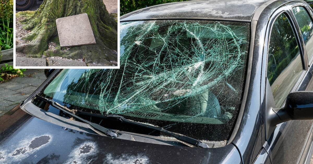 Ashley (19) pakt man die auto’s vernielt, past armklem toe en wacht ...