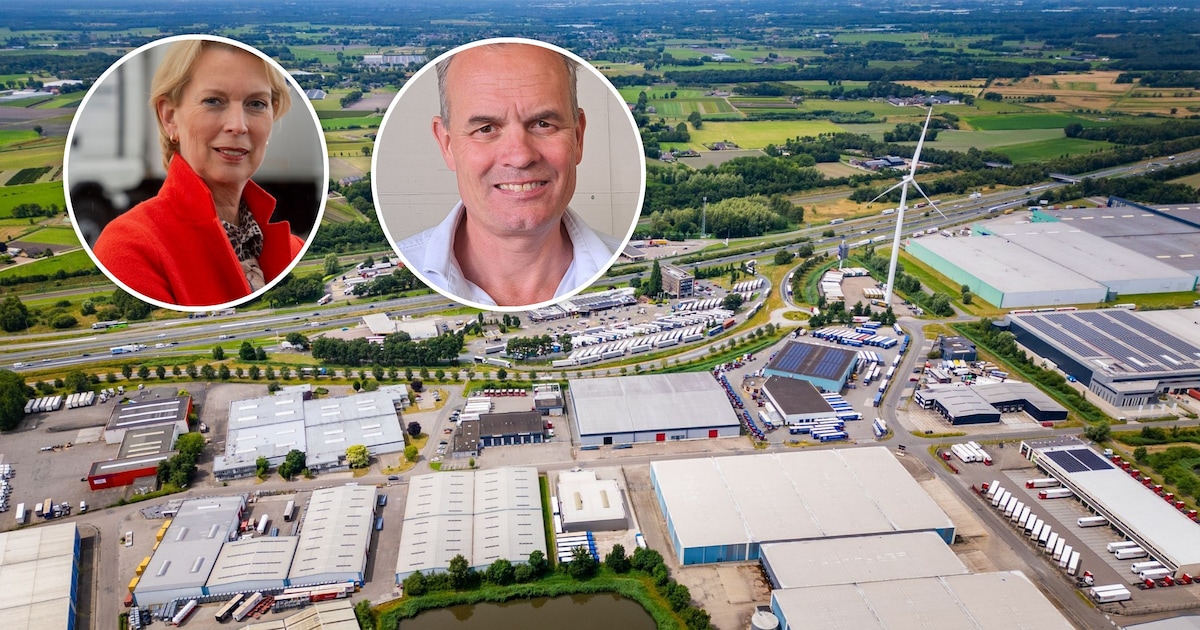 Zo kwam bedrijventerrein Hazeldonk los van de verkeerde lijstjes: ‘We wilden al het moois dat ...
