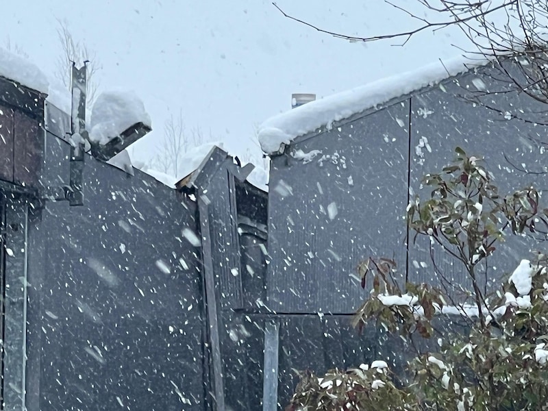 30 centimeter sneeuw gemeten in Sint-Michielsgestel, Efteling opent ...