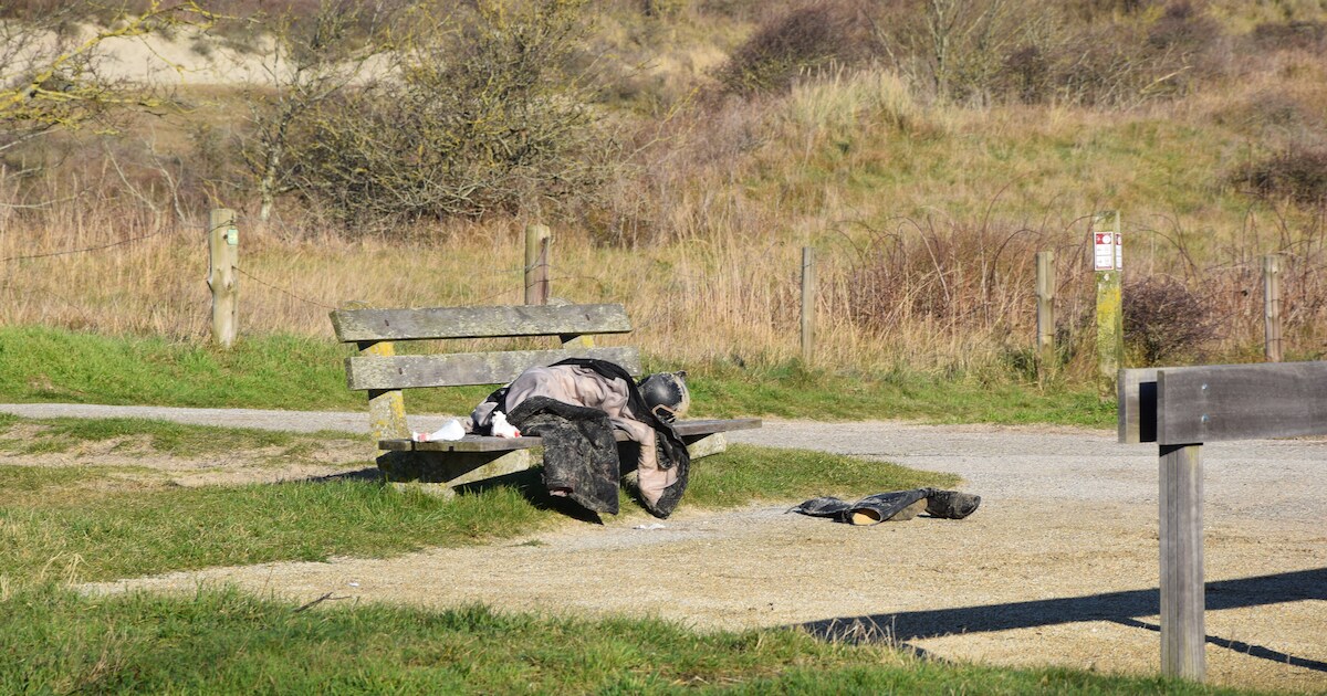 Ruiter ernstig gewond na val van paard Renesse, traumahelikopter geland ...