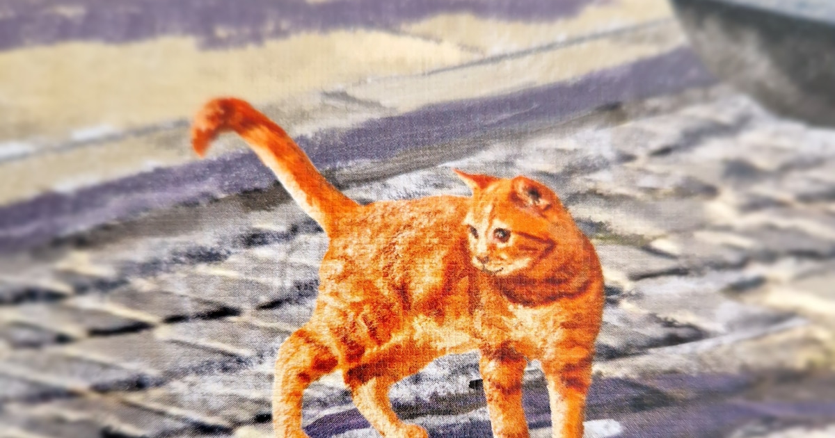 Legpuzzels maken met een hoofdrol voor de kat | Van de lezer Oosterhout ...