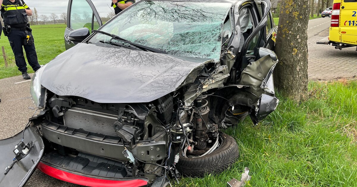Oudere vrouw gewond na botsing tegen boom in Dongen, auto zwaar beschadigd | Dongen | bndestem.nl