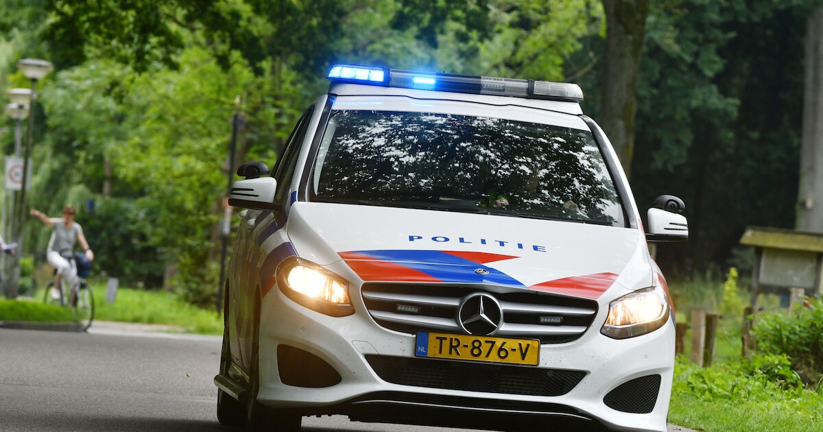 Grote politiecontrole A58 levert veel op: 6 rijbewijzen ingenomen en boete voor vasthouden ...