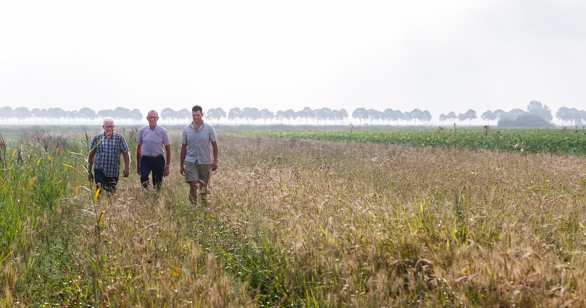 Boeren en de natuur, dat gaat goed samen | Regio | BN DeStem.nl