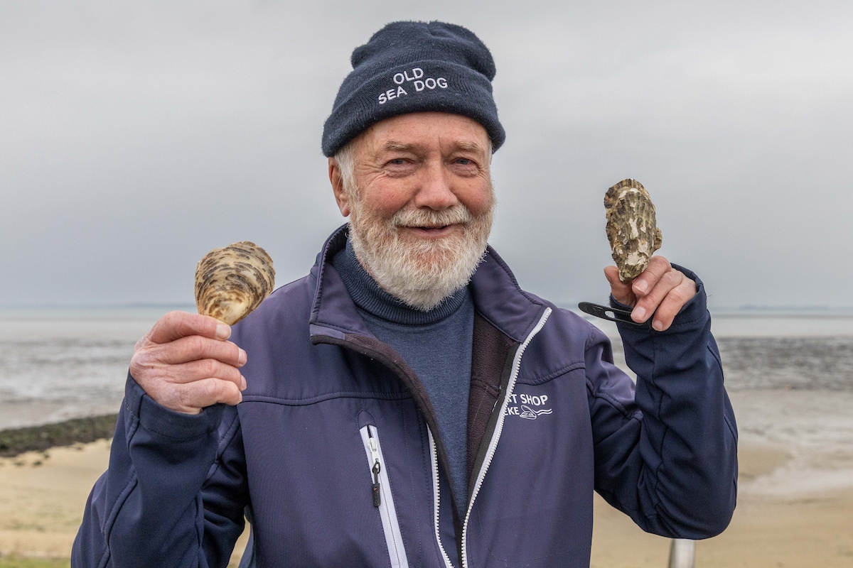 De oester is nu ‘retepopulair’: Randstedelingen trekken er massaal voor ...