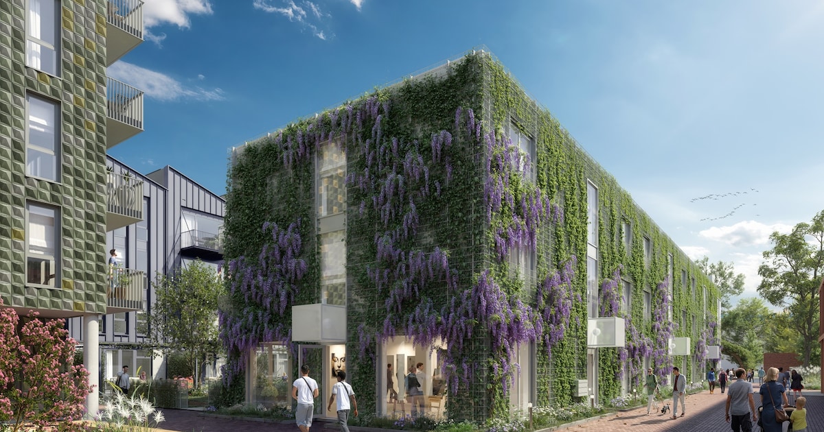 Bouw van Belcrum’s Blikvanger in volle gang: groen, sociaal en met ...