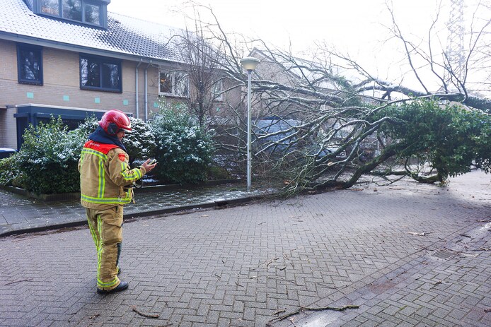 Grote boom valt op voertuigen en tegen huis in Eindhoven, opruimen gaat uren duren | Brabant ...