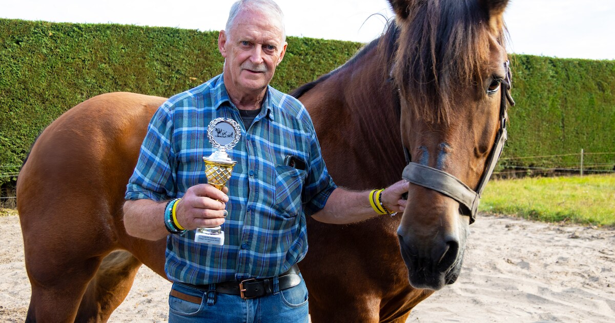 Kees Koenen al jaren de beste paardploeger van Nederland: ‘Verliezen ...