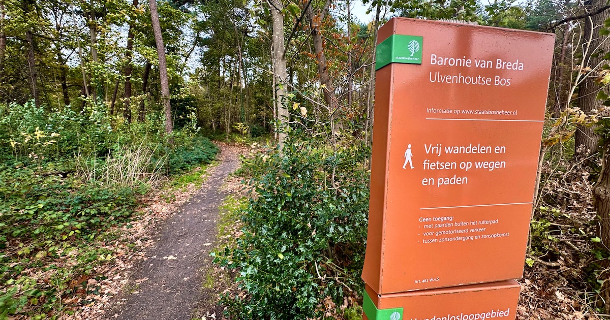 Hondeneigenaren boos: deel losloopgebied Ulvenhoutse Bos gaat dicht ...