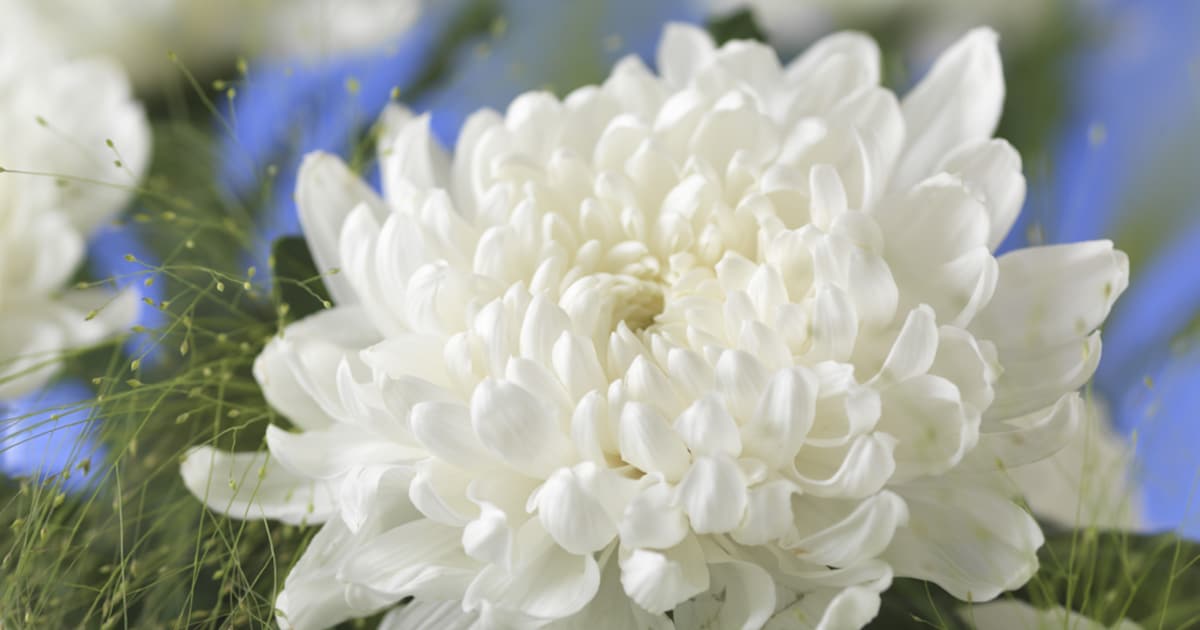 De seizoenen van het jaar | Van de lezer Moerdijk | bndestem.nl