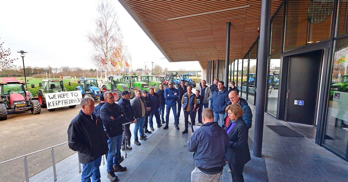 Twintig boze veehouders in colonne naar gemeentehuis Rucphen: ‘Angst ...