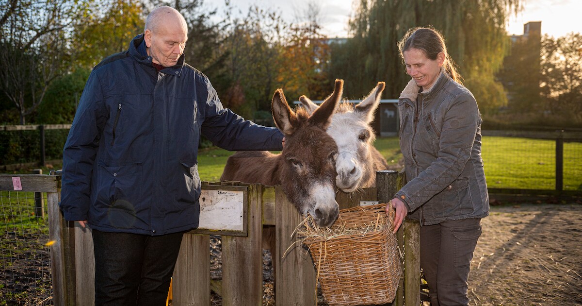 Ezel Yamas brengt geld in het laatje bij kinderboerderij in Breda ...