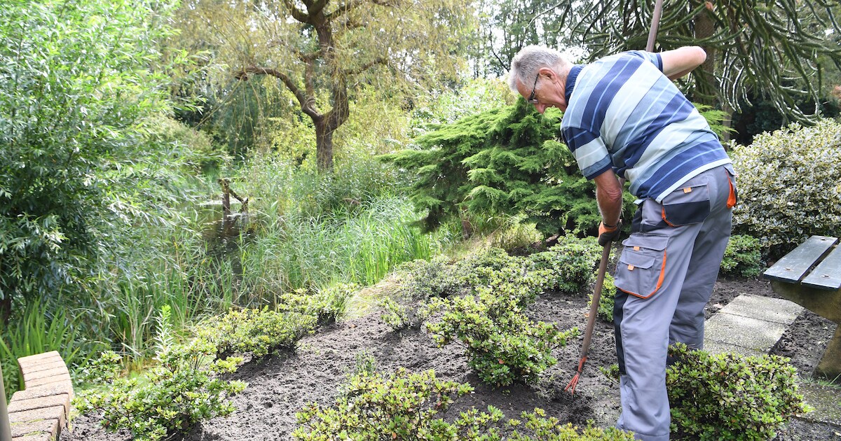Vrije inlopen van onder meer GGZ, Thebe en Floralia maken het verschil ...