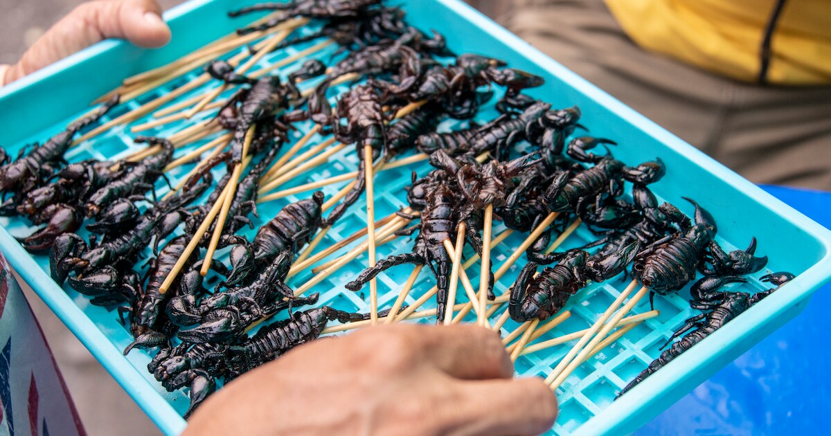 Insecten als voedsel: hoe leren we lief te zijn voor de meelworm ...