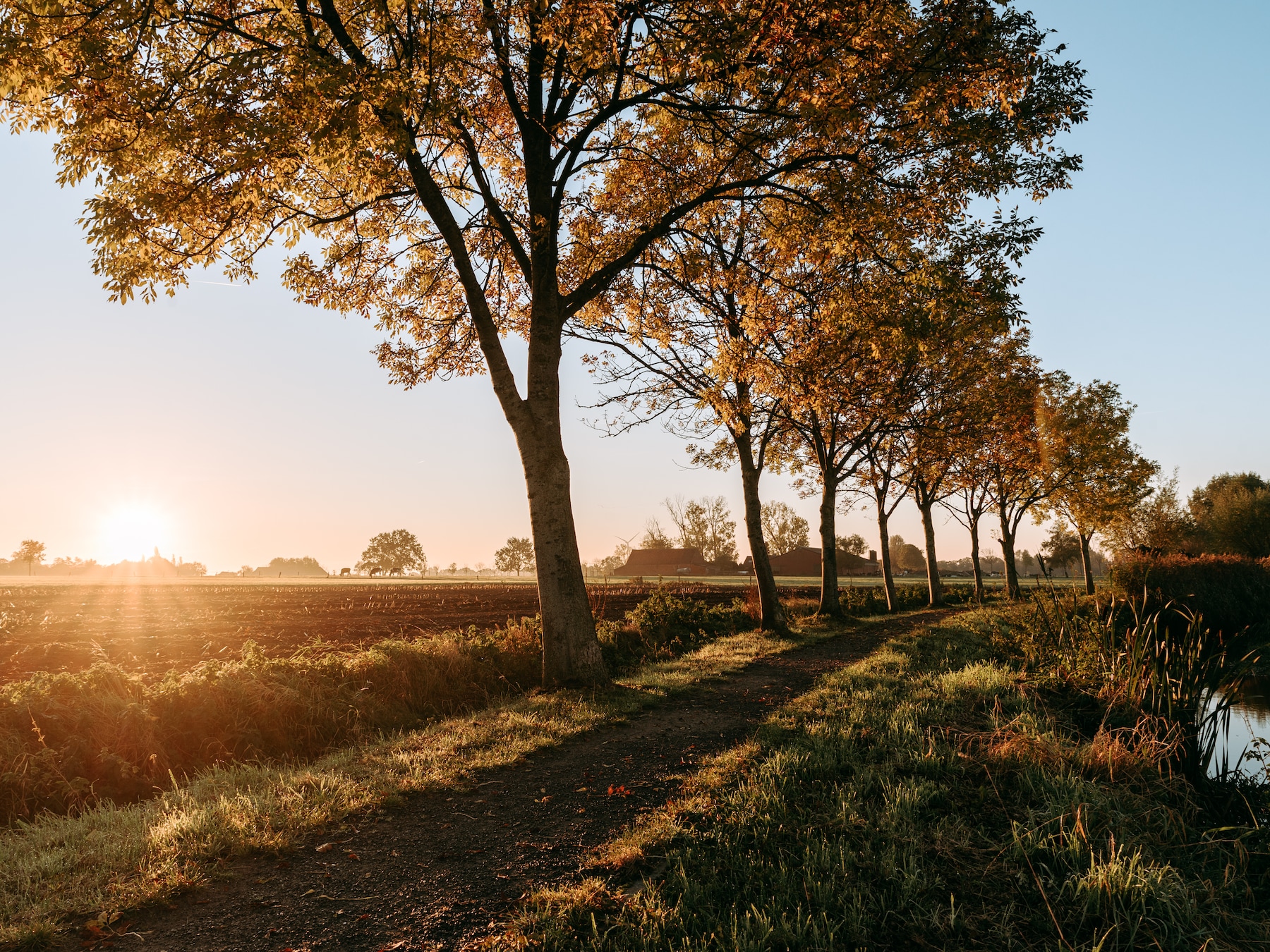 ‘Roosendaal wordt nooit meer wat’: krijgen de cynici gelijk nu ook ...