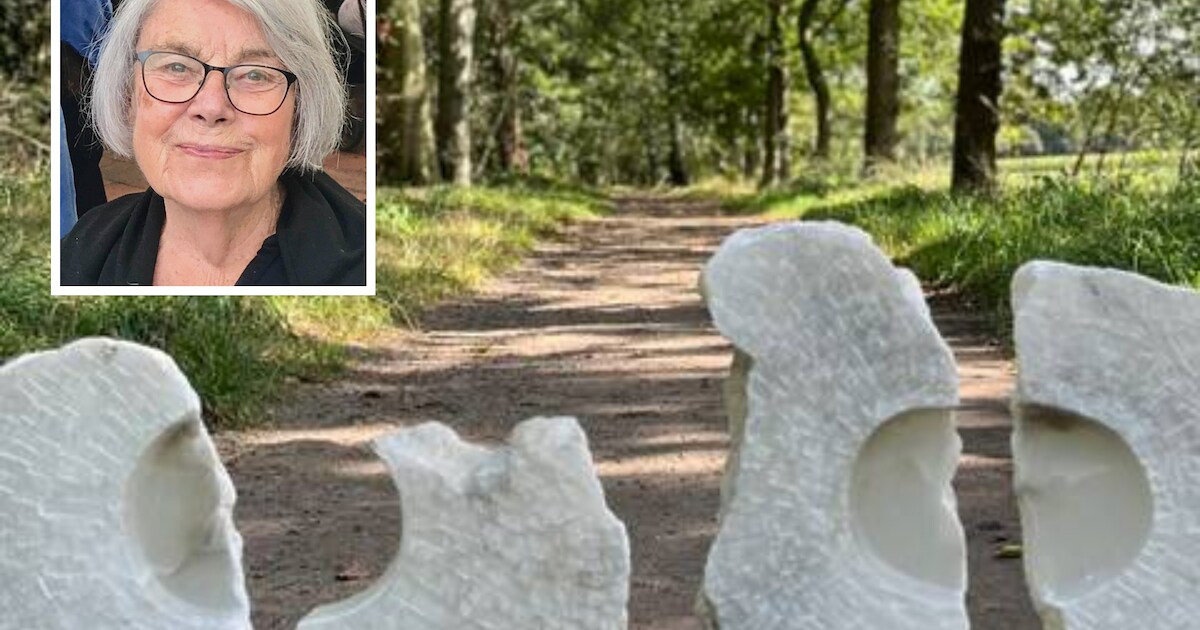 Koffer met beelden van overleden Roosendaalse moeder gestolen, tot ...