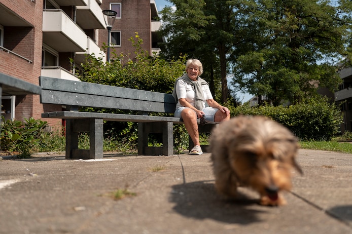 Bewoners van Bredase wijk zijn ontevreden over nieuwe straatinrichting ...