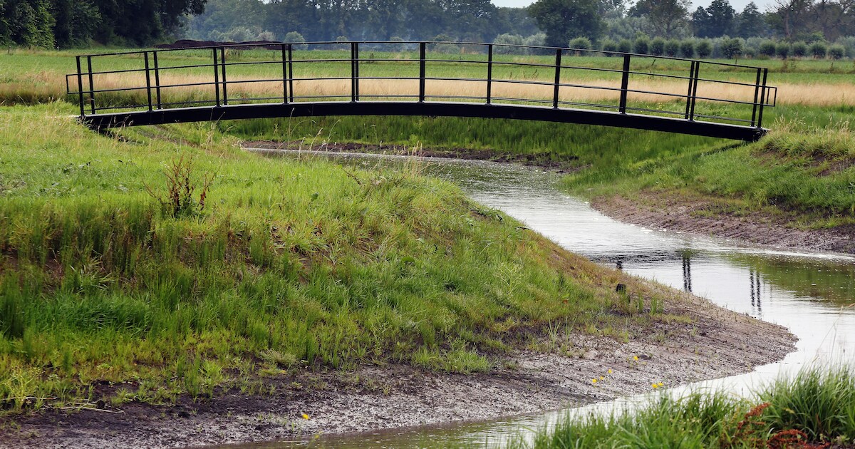 Waterschap wil bijzondere vogels lokken met nieuw moeras in Markdal ...