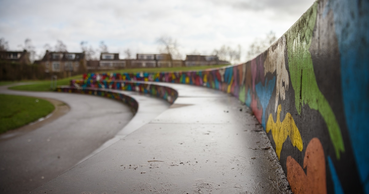 Buren Vogelaarpark moe van jaren overlast: ‘Elke keer weer gillen ze me ...