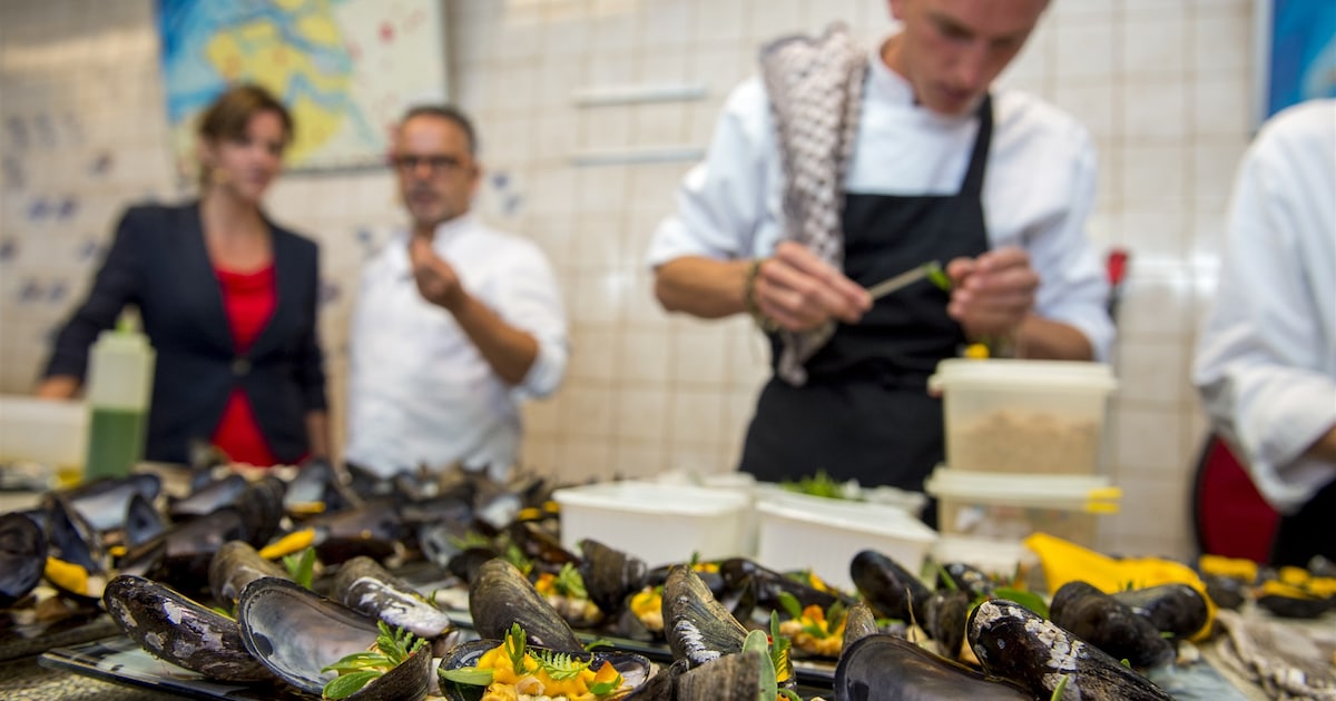 Smullen maar! 5 x hier eet je mosselen in Den Bosch | Regio | BN DeStem.nl