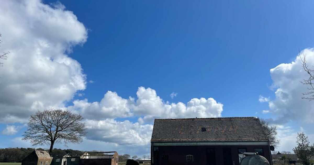 Rechtbank trekt twee dagen uit voor zaak tegen dochter vermoorde Gradus ...