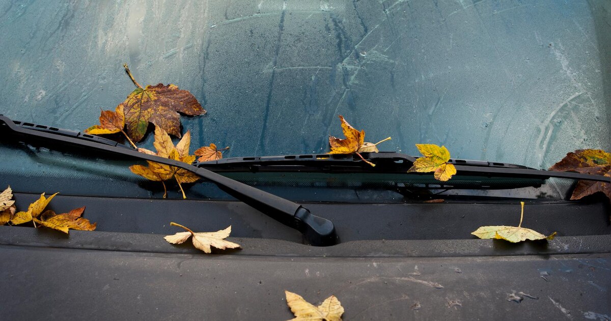 Strepen op vette voorruit door ruitenwissers? Zo heb je snel weer goed ...