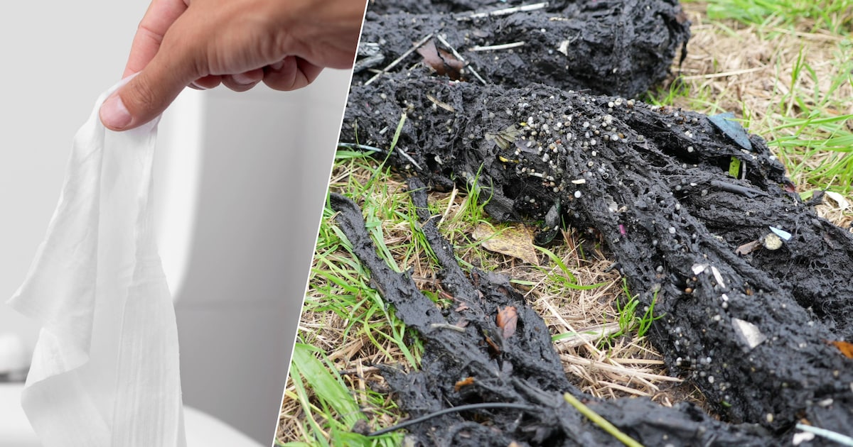 Waterschap opgelucht: Verbod vochtige doekjes kan storingen drastisch ...