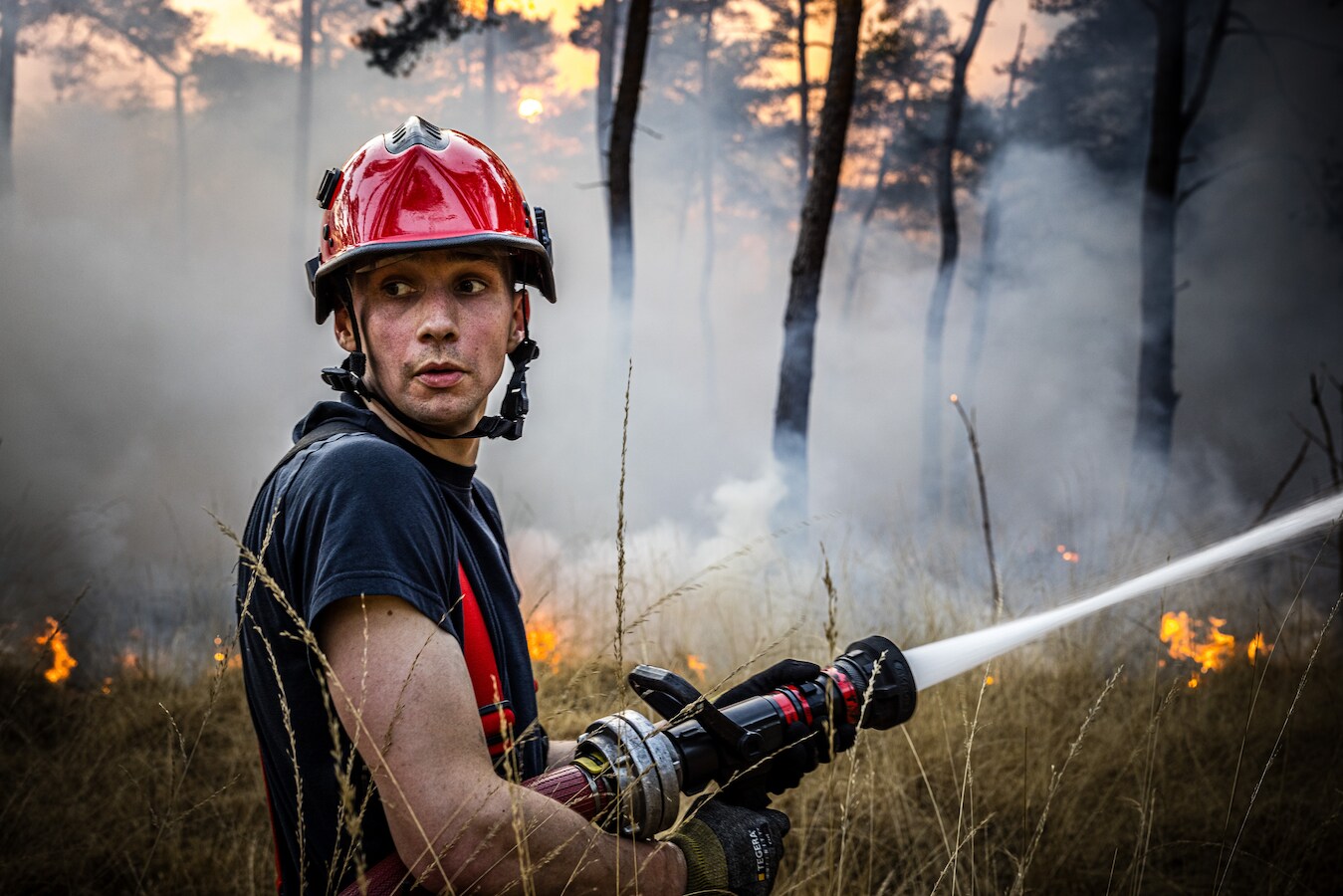Iedereen die vlakbij de Loonse en Drunense Duinen woont, heeft wel een ...