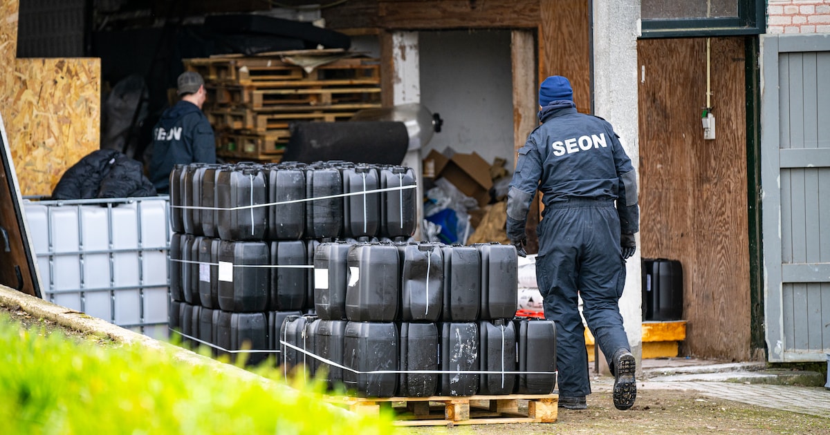 Ali kan zó goed lassen dat de halve onderwereld klant is, en de politie ...