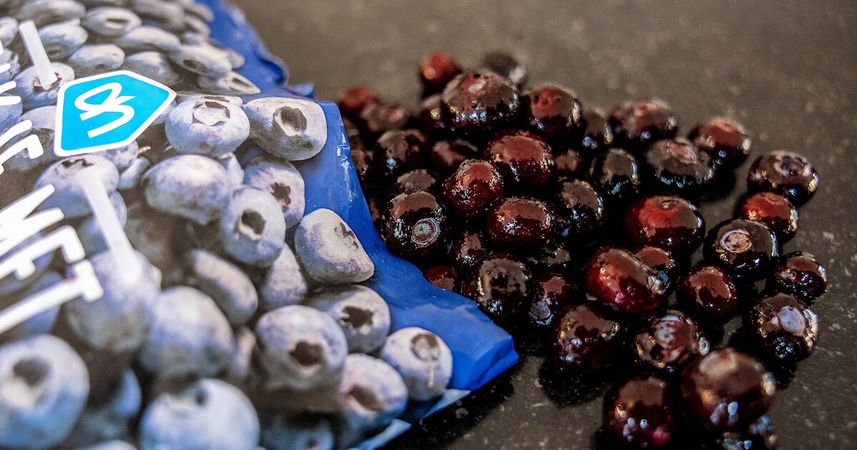 Meer zieke mensen melden zich bij AH na eten blauwe bessen | Binnenland ...