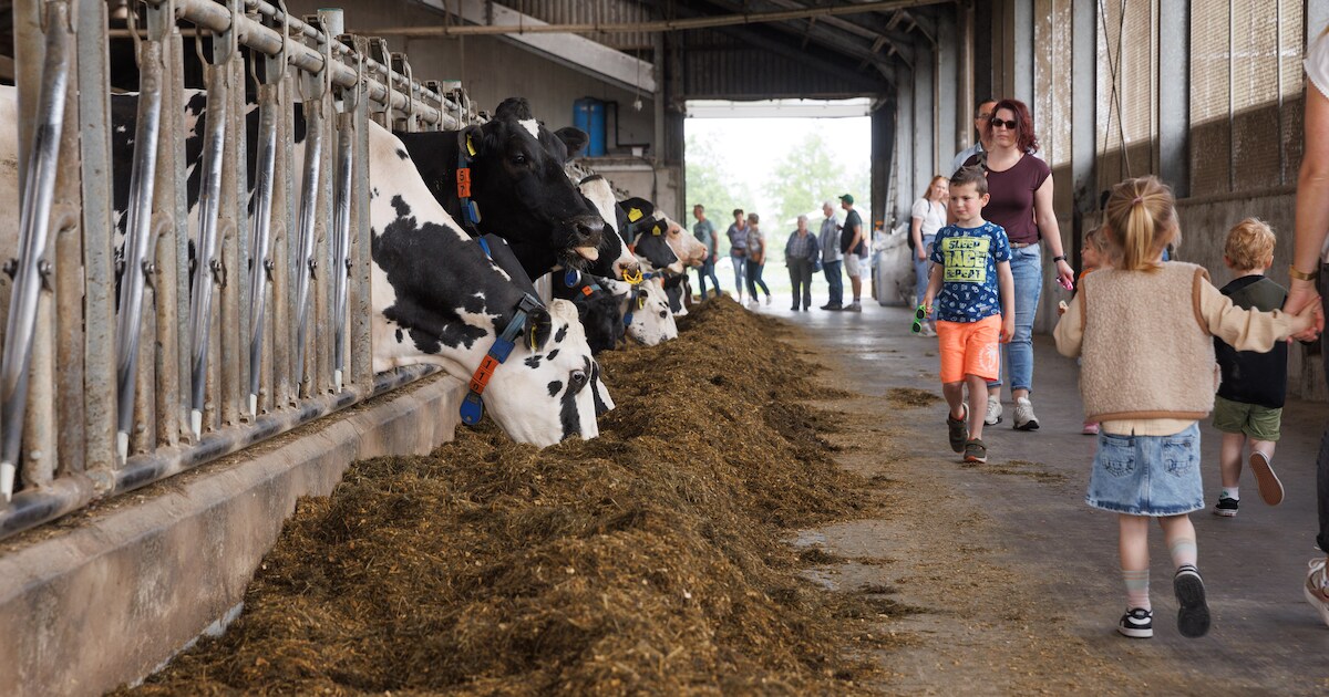 Dikbillen raden en aardbeien snoepen: honderden fietsers bij Fiets De ...