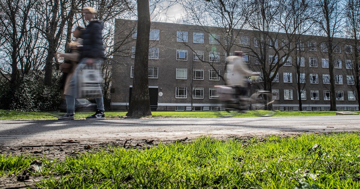 Bredanaar stompt man in gezicht en breekt enkel van een ander, maar dat ...