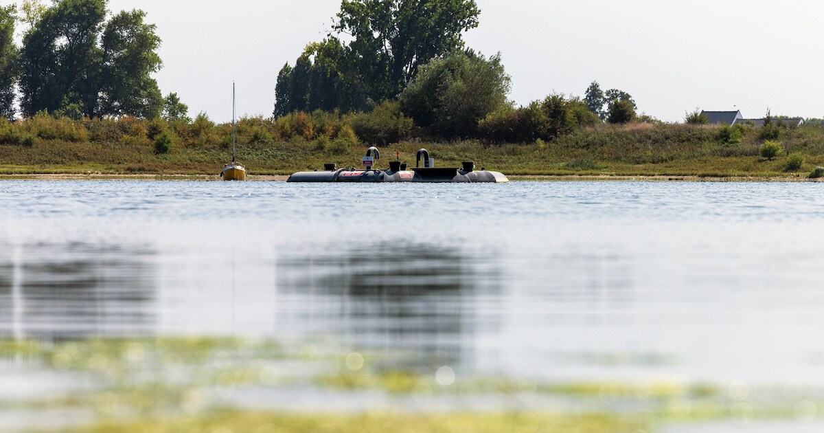 Zeg maar dag tegen die vreselijke blauwalg, Maasdriel zet innovatieve ...