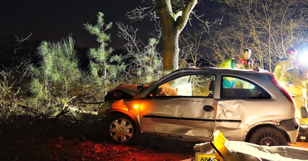 Rechtbank streng voor notoire drankrijder die tegen boom knalde bij ...