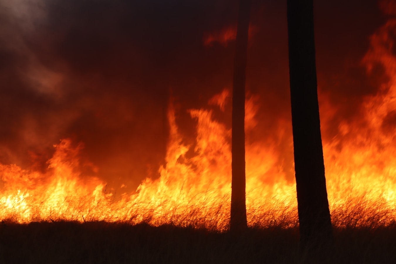 Alle brandweerlieden na ruim een dag vertrokken bij Loonse en Drunense ...