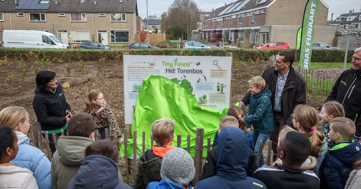 Fijnaart krijgt een mini-bos, Moerdijk gaat flink vergroenen | Moerdijk ...
