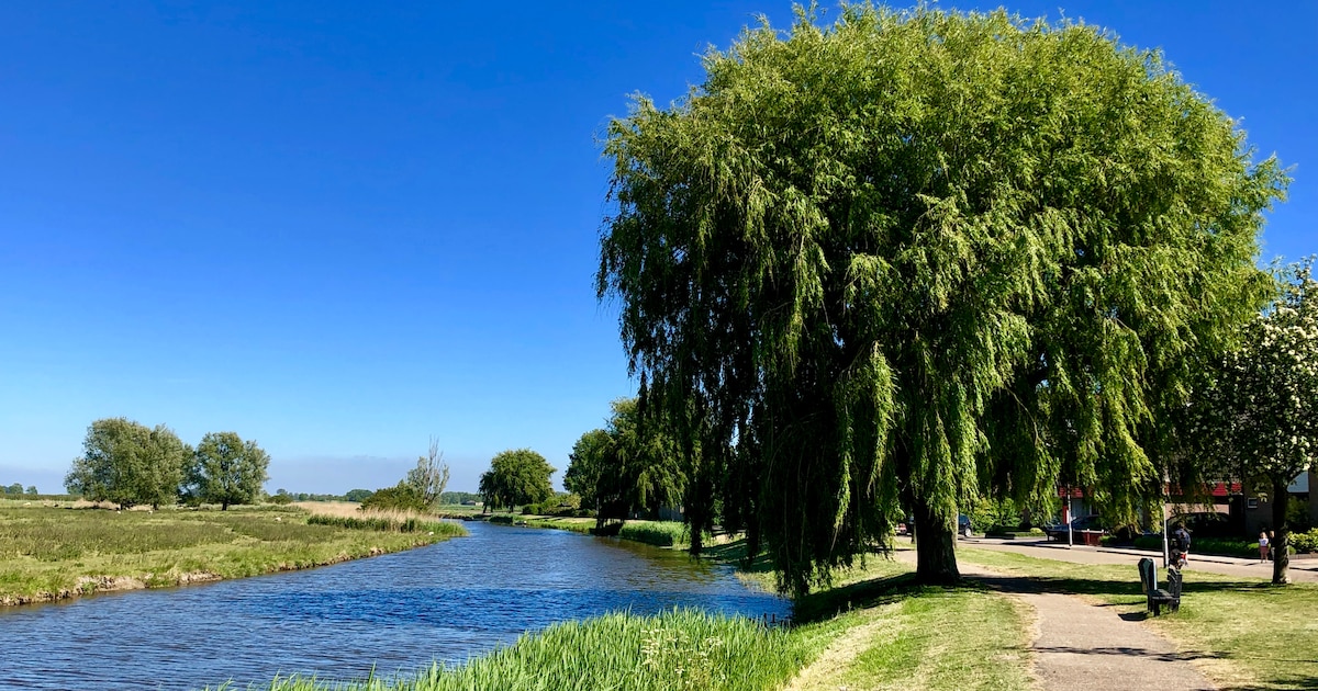 Gemeente Tholen heeft plannen voor nieuwbouw 32 woningen in Stavenisse ...