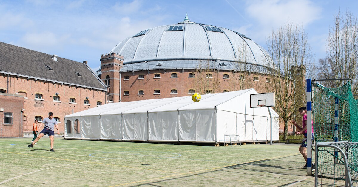 Derdelanders mogen half jaar langer blijven: ‘Zij hebben recht op ...