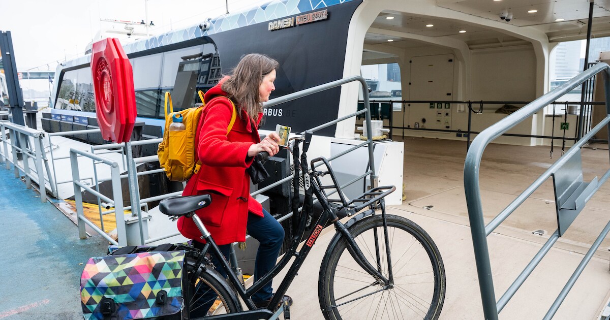 Waterbus in zwaar weer: reizigers vrezen verlies van hun ‘ideale ...
