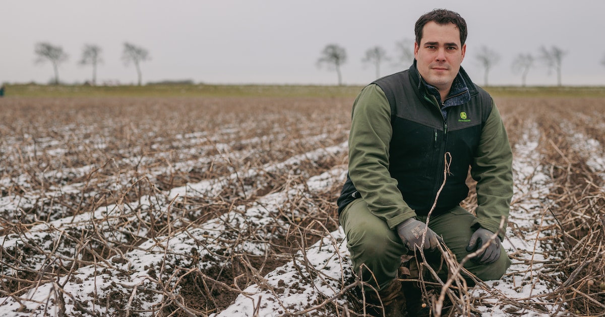 Akkerbouwer David zit met handen in het haar na 'rampzalig' najaar: 'Je ...