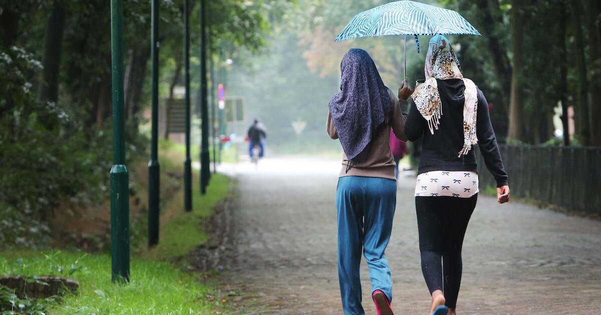 Reuring over mogelijke bomenkap AZC Gilze | Oosterhout | BN DeStem.nl