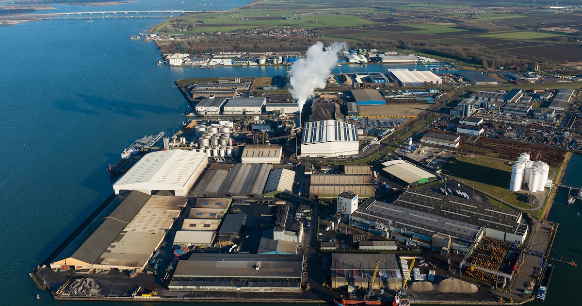 Onderzoek naar steigers Moerdijkse haven | Moerdijk | bndestem.nl