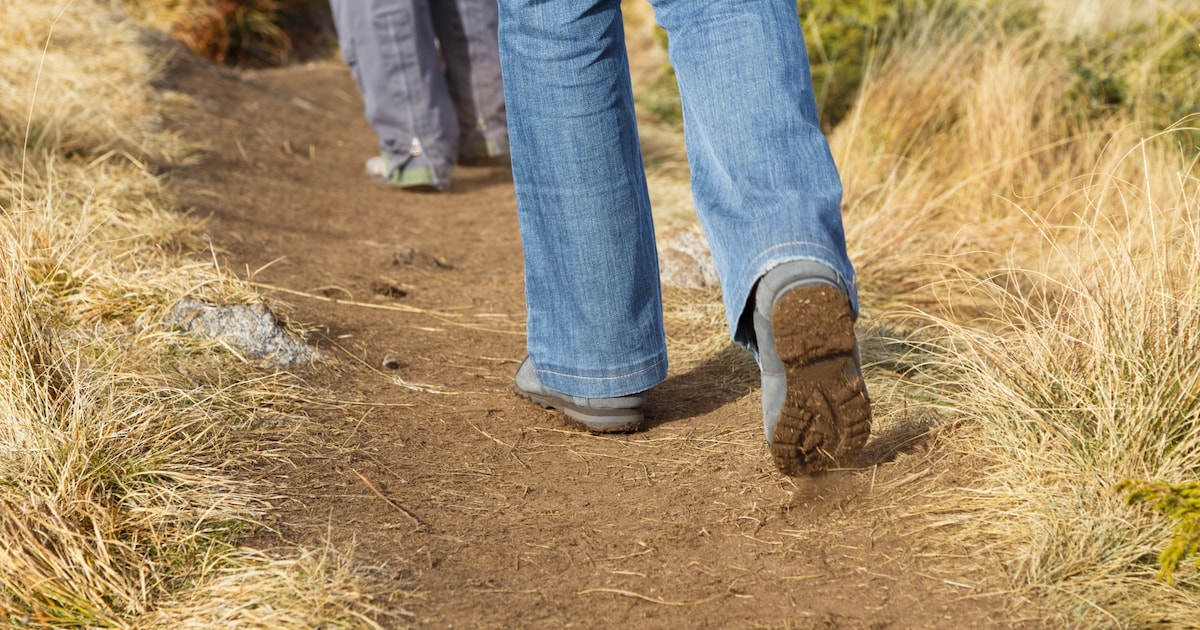 Start Groene Camino: wandeling van Den Hout tot Galder | Regio | BN ...