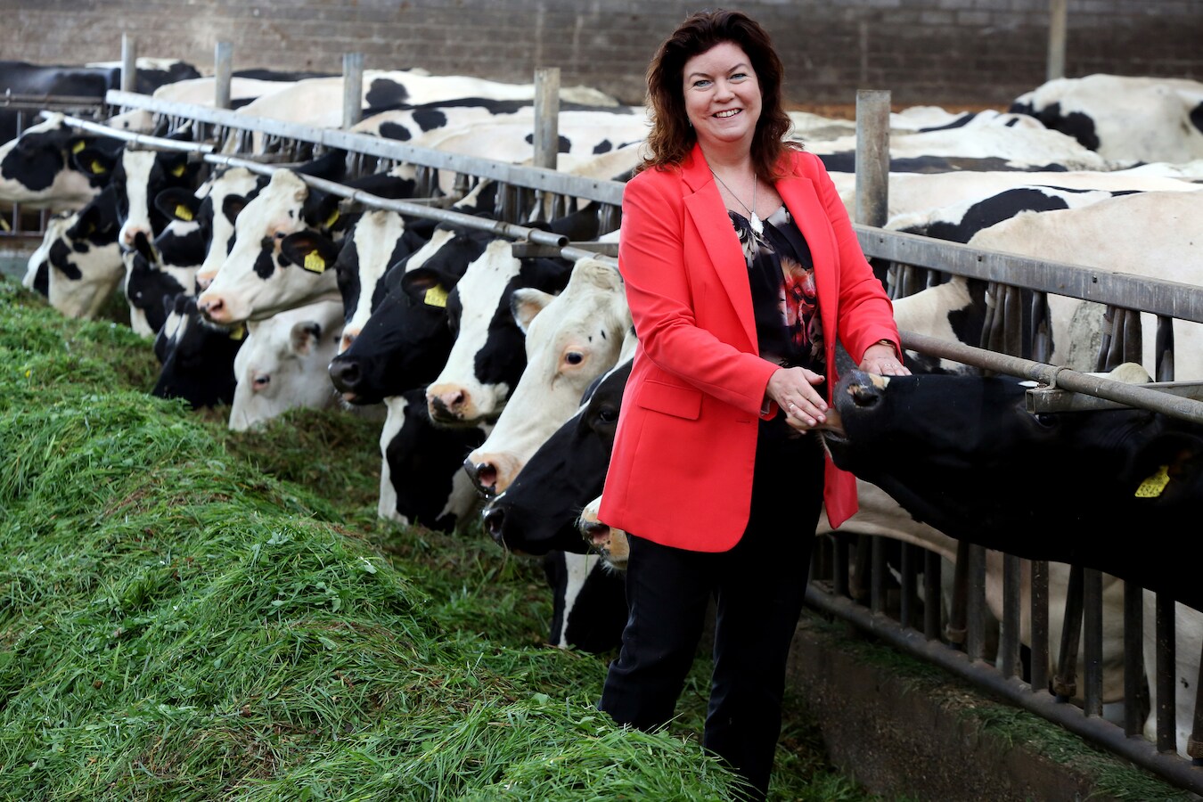 Boerin Monique (50) uit Den Hout is waakhond en beschermengel van ...