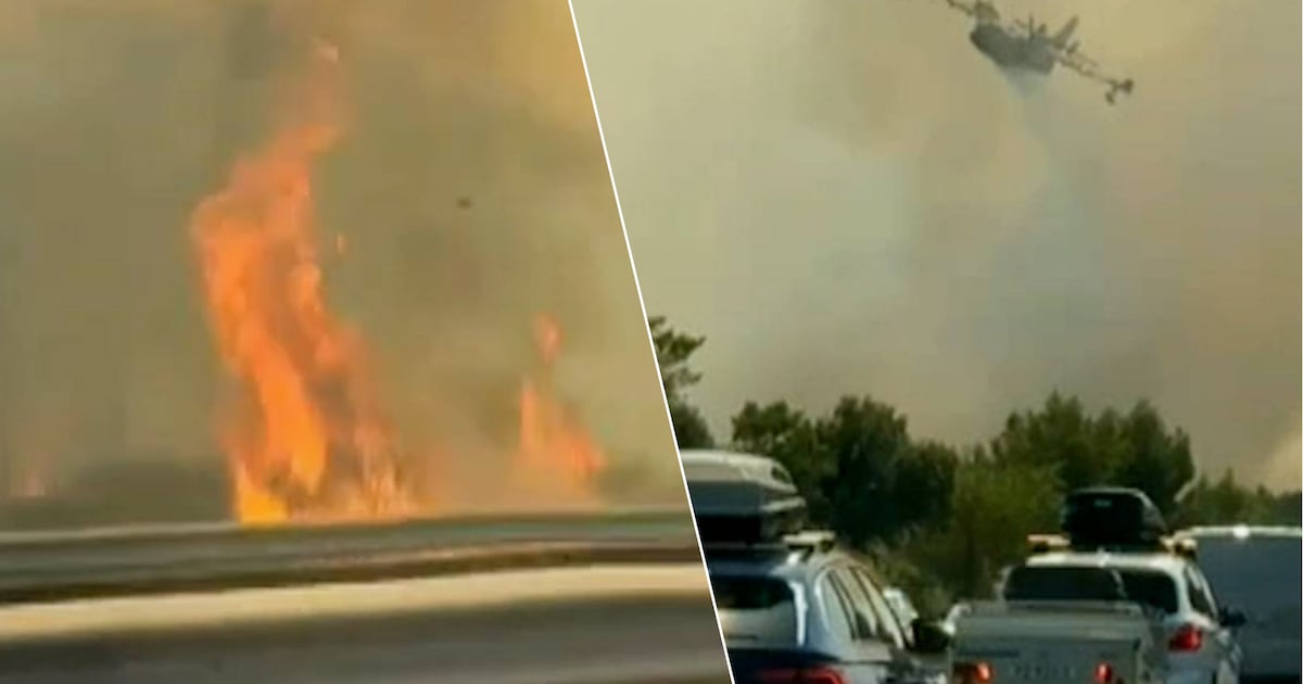 Zware bosbranden in Frankrijk: toeristen filmen metershoge vlammen ...