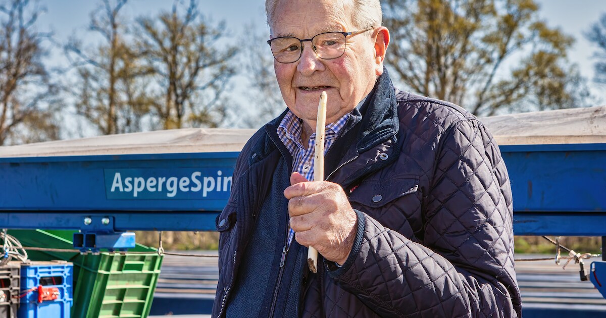 De eerste asperges uit de koude grond zijn er en Jan (96) steekt ze er ...