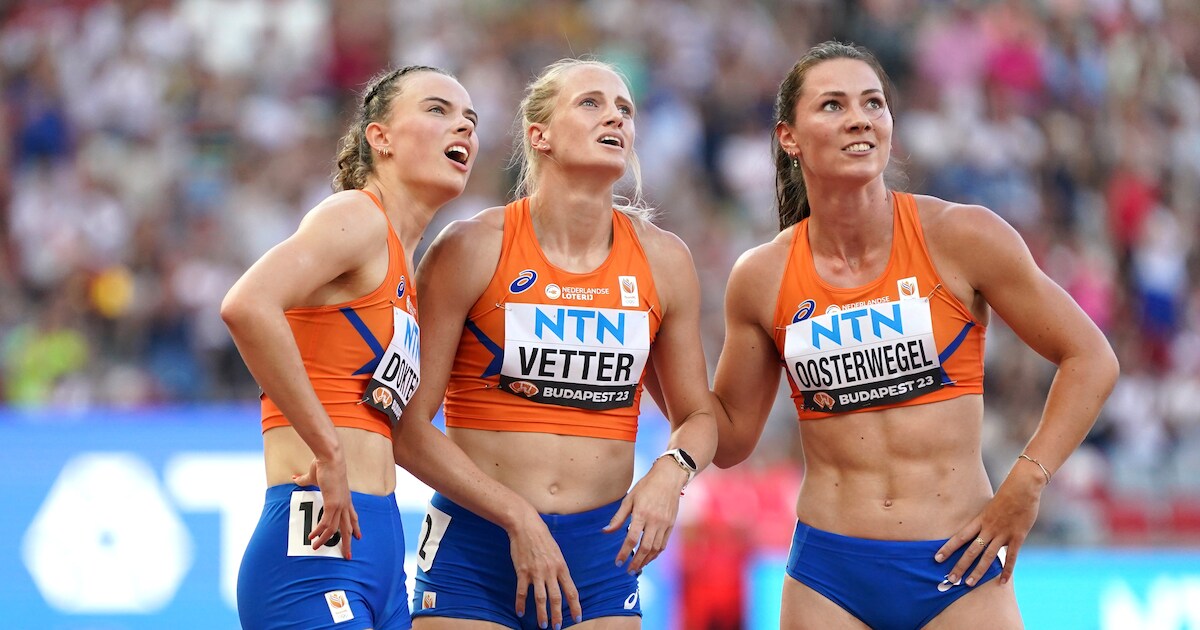 Olympische topatleten kort voor Parijs te bewonderen in Breda | Sport ...